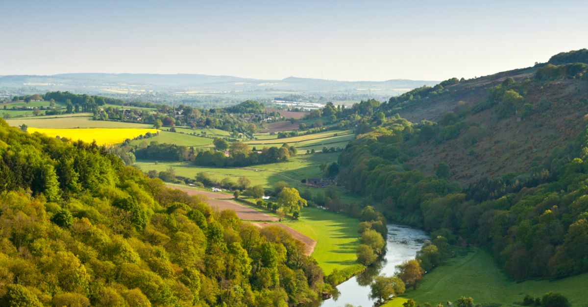 WorldClimate: Driving the sustainable transformation of our business ...