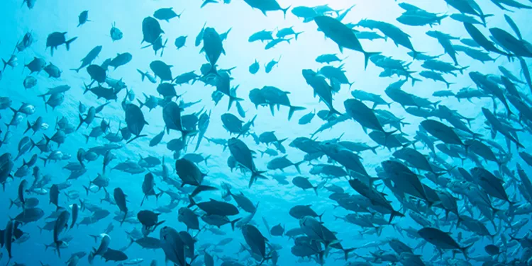 The UK-EU trade deal: how did those sticking points get resolved – and ...