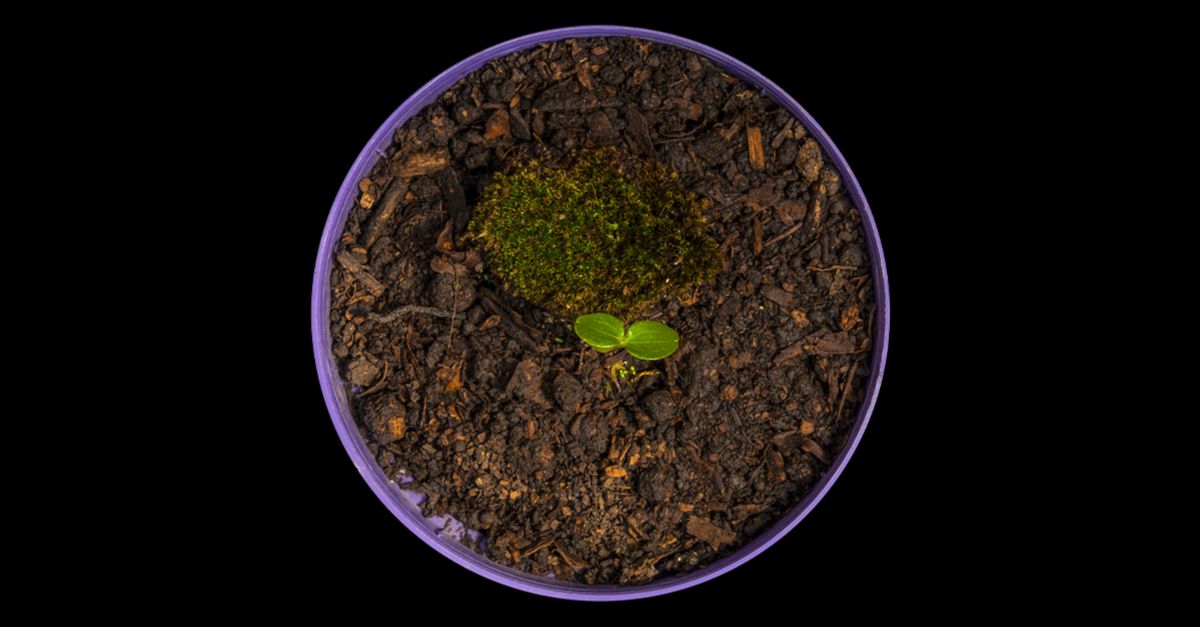 Building an ESG controls framework | Deloitte UK