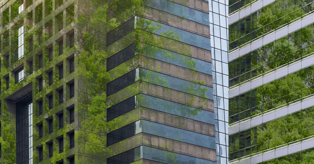 Sustainable carbon credits strategy for the hospitality industry ...