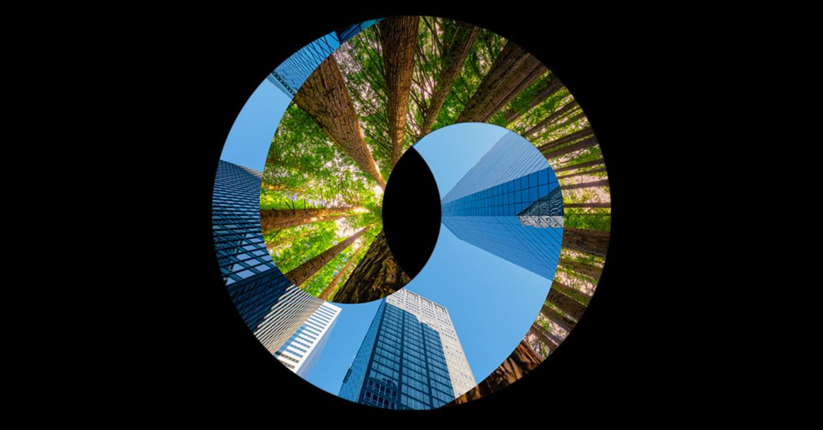 CSRD – A simple step-by-step guide | Deloitte UK