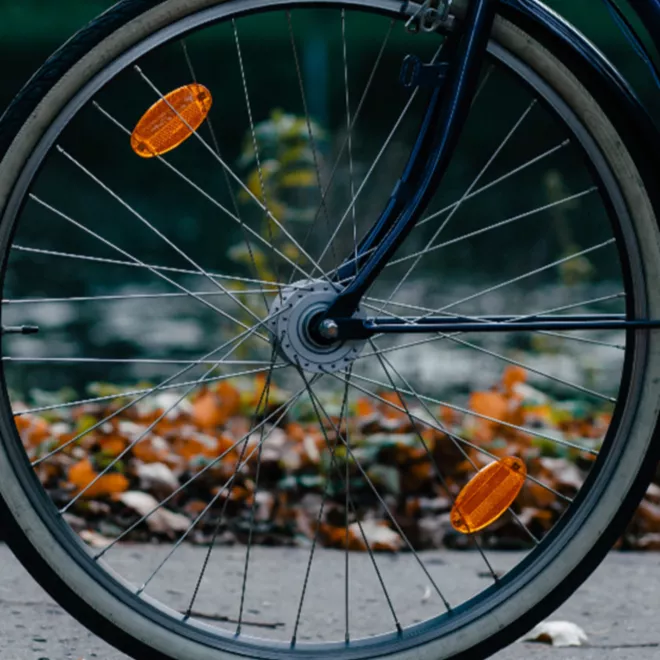 Future of Money scenario 4 - ‘Government coins’: a monetary utopia of ...