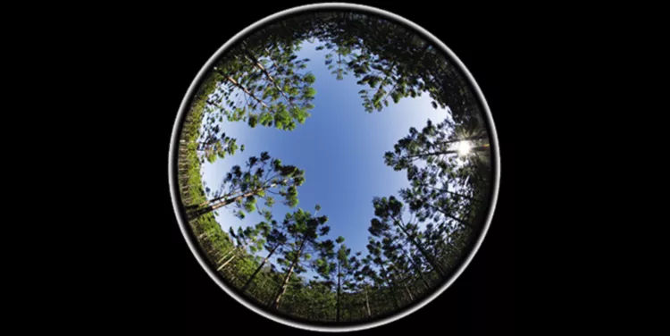 How to drive sustainability through Procurement | Deloitte UK