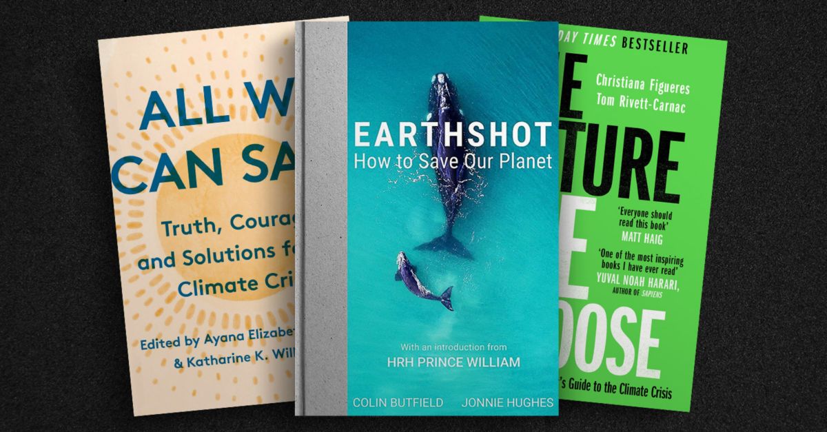 A diverse list of climate change books | Deloitte UK