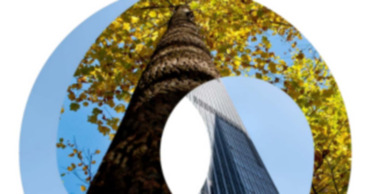 FTSE350 Tax Reporting & Transparency Trends | Deloitte UK