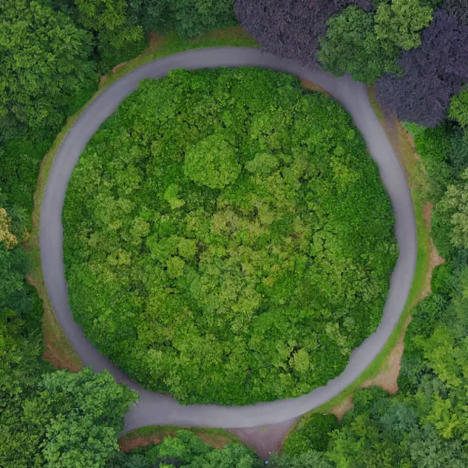 Understanding the Compliance and Voluntary Carbon Trading Markets ...