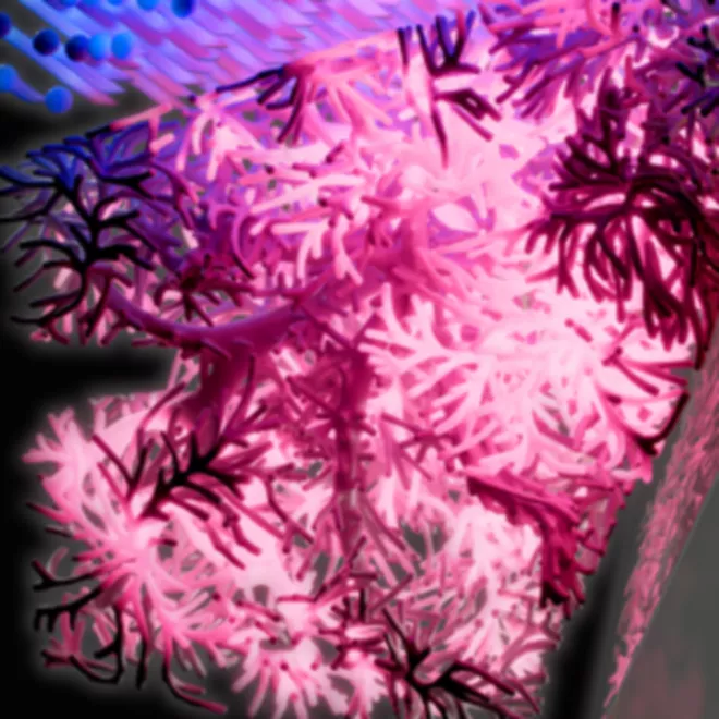 Deloitte Tech Trends 2024 – Africa Perspective