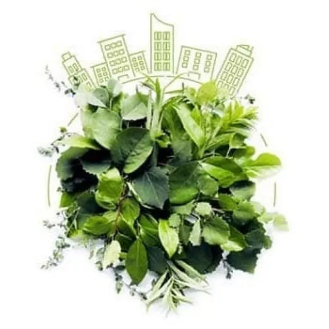 Real Estate | Deloitte Global