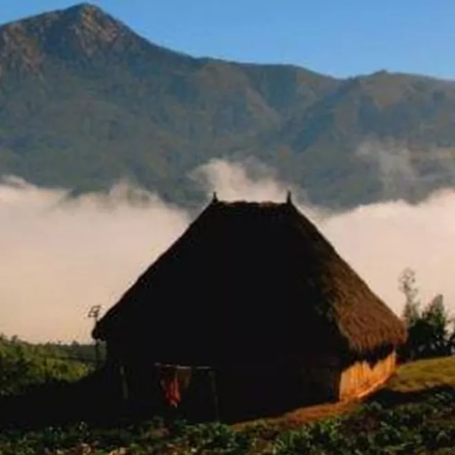 Papua New Guinea Tax Alerts | Deloitte Papua New Guinea | Tax, alerts ...