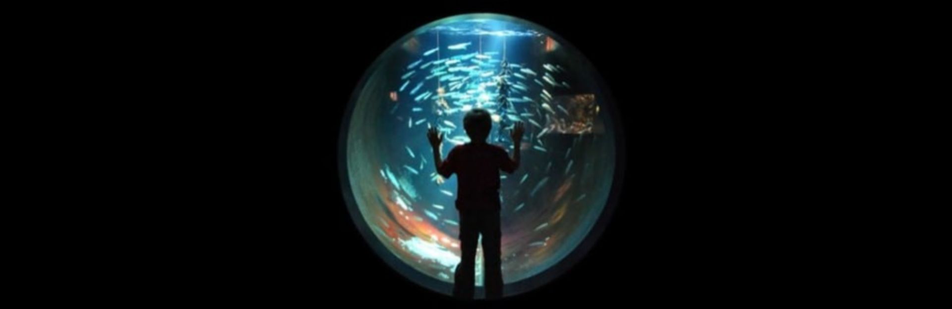 The Deloitte Scholarship | Deloitte Bermuda