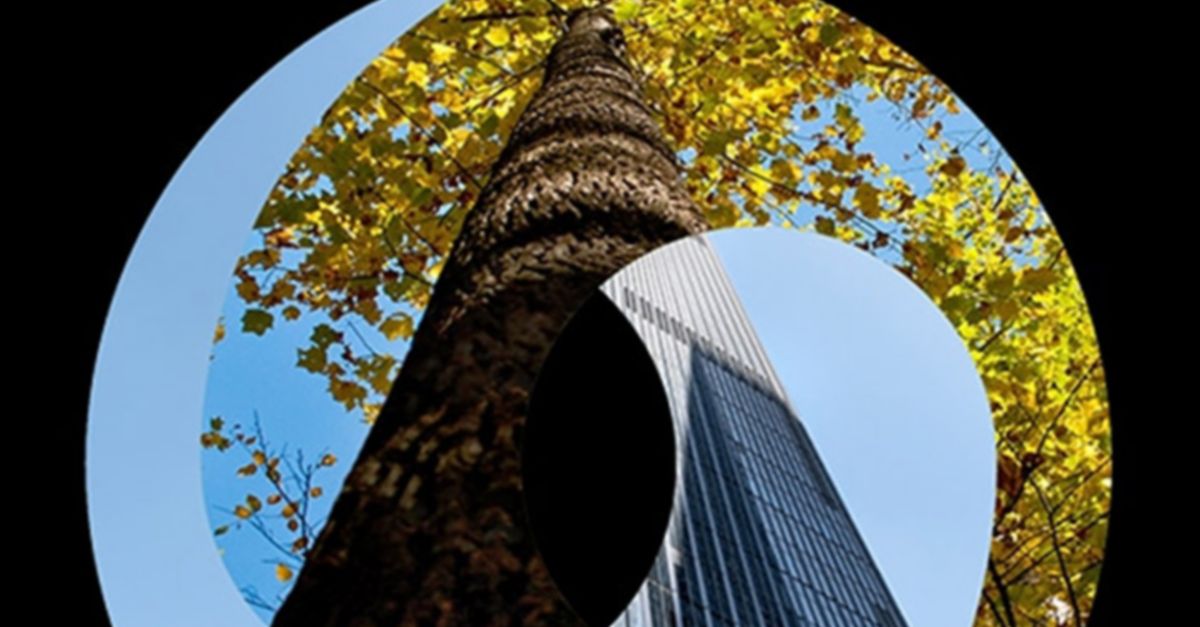 Sustainability and Climate | Deloitte Global