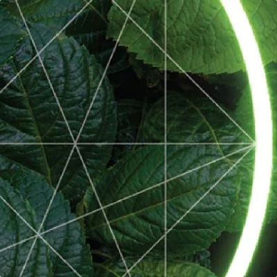 Deloitte IFRS e-learning | Audit | Articles