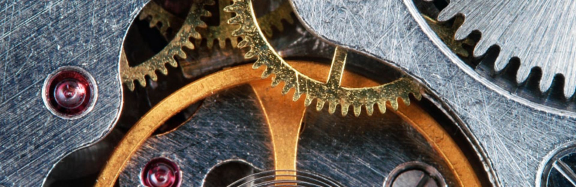 ALM Vanguard: Procurement Operations Consulting | Deloitte Global