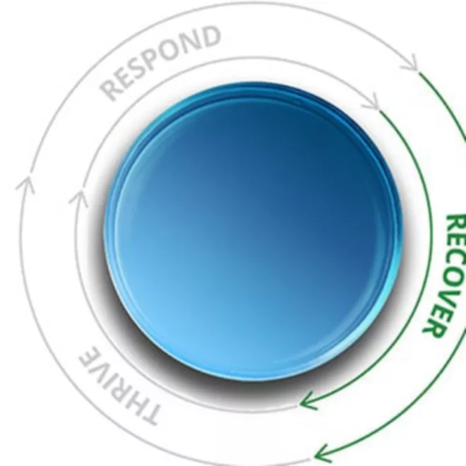 Develop real-time sensing / red flag reporting dashboard | Deloitte Global