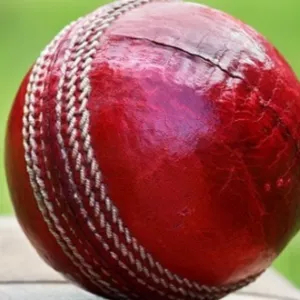 Deloitte volunteers at the Bermuda Cricket Board | Deloitte Bermuda