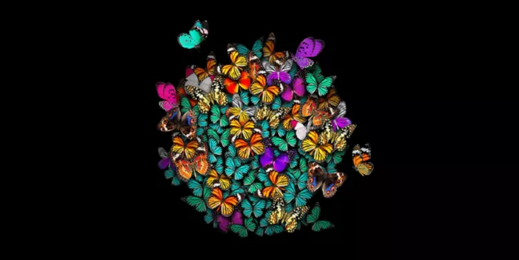 The power of the Butterfly Effect | Deloitte
