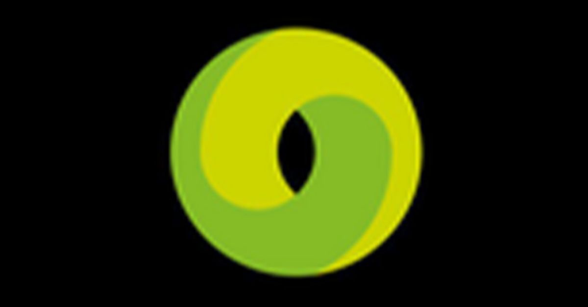 CEOs and Climate Action | Deloitte Global