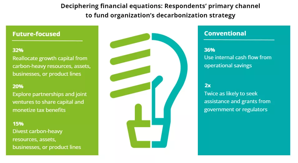 Decarbonization Insights from Financial Executive Survey | Deloitte Global