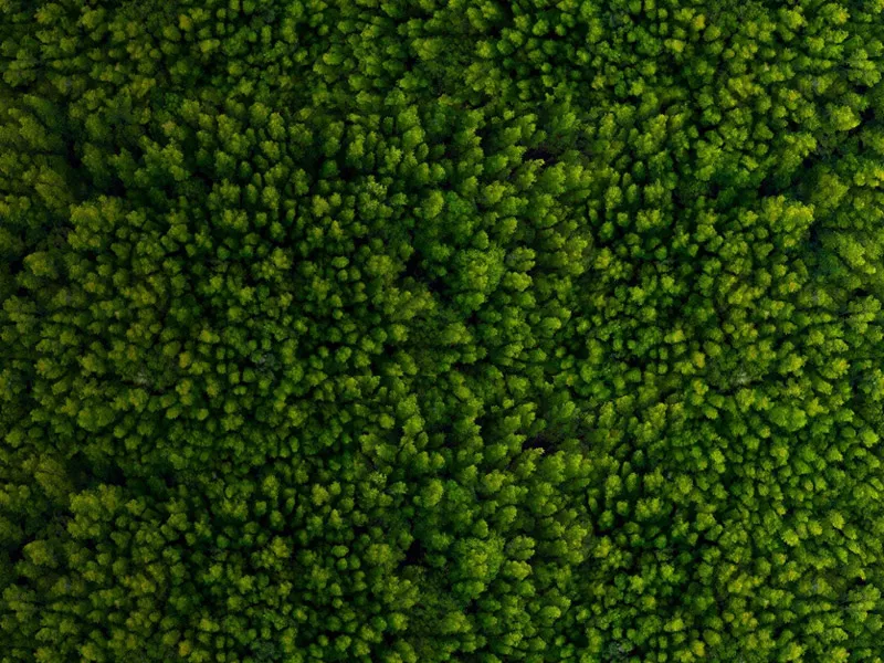 Sustainability and Climate | Deloitte Global