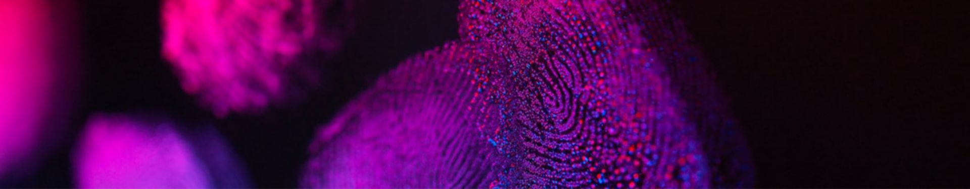 Confidentiality, privacy and cybersecurity | Deloitte | About deloitte