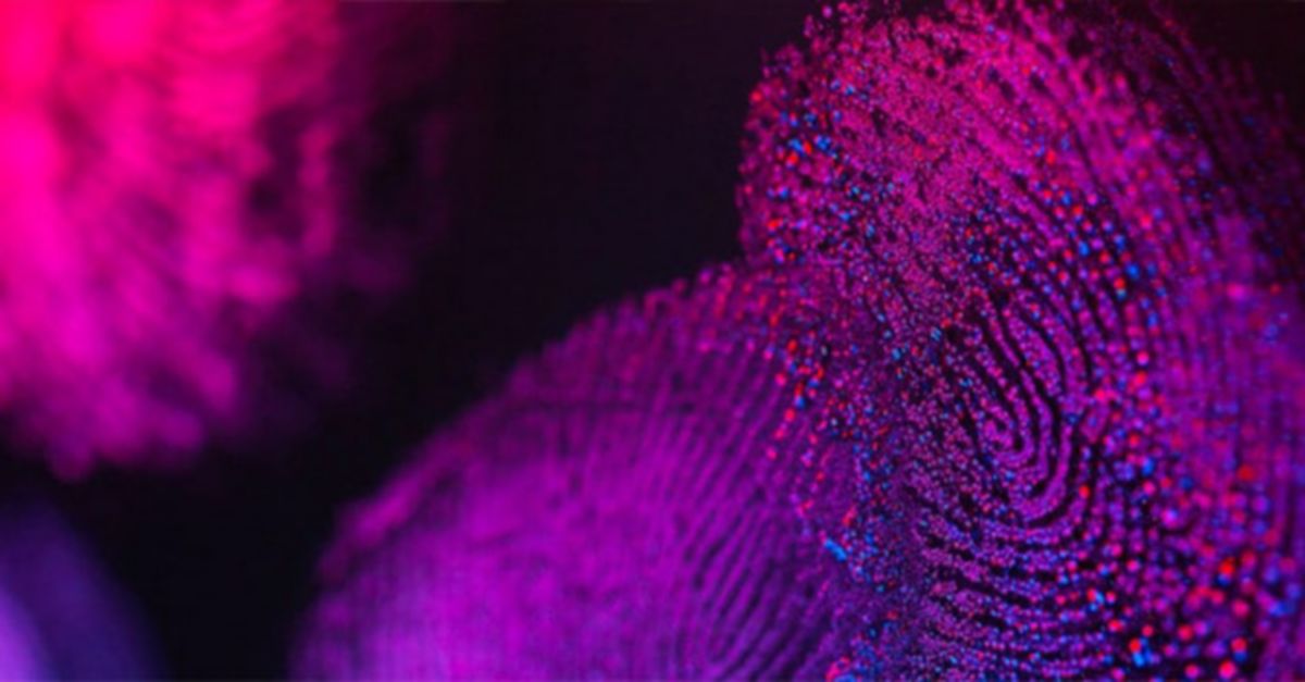 Confidentiality, privacy and cybersecurity | Deloitte | About deloitte