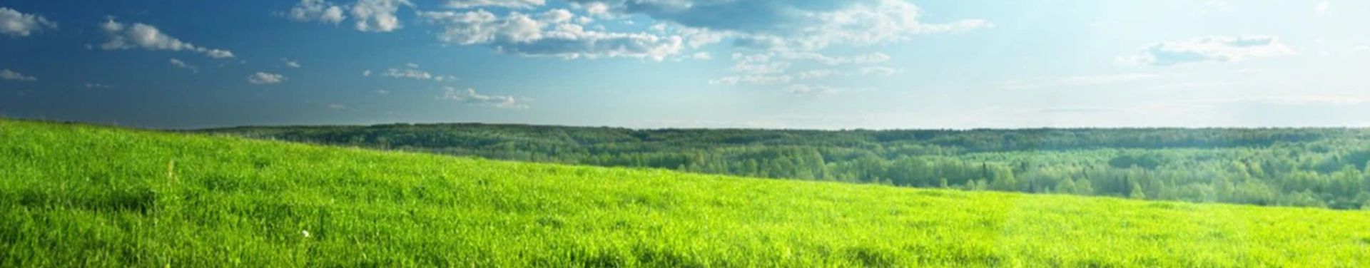 Decarbonising the food system: Time is running out | Deloitte Global