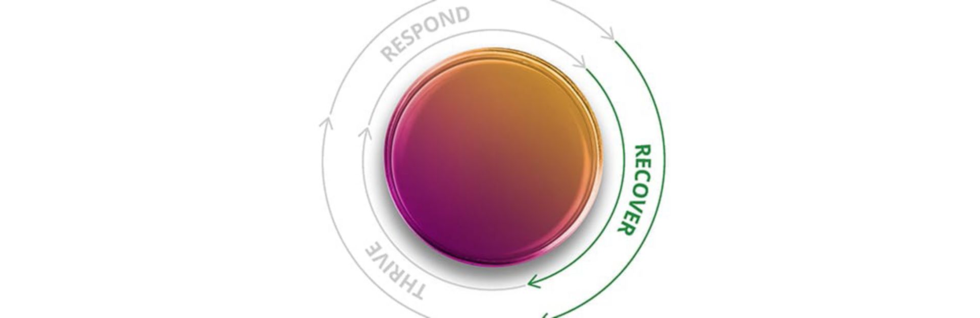 Exit of non-core and under-performing assets | Deloitte Global