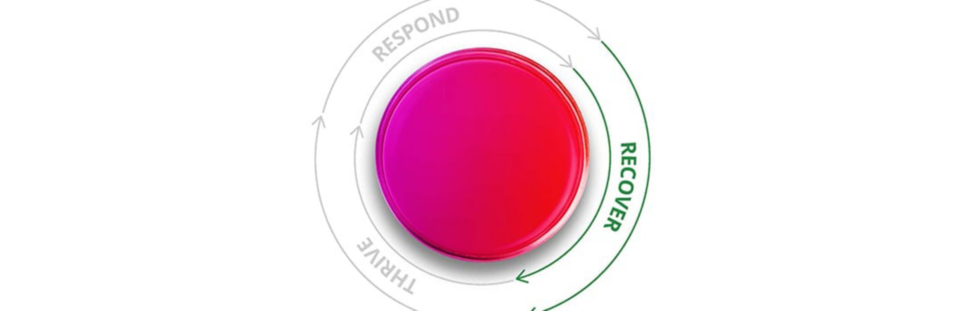 Manage inventory and cash flow through agile execution | Deloitte Global