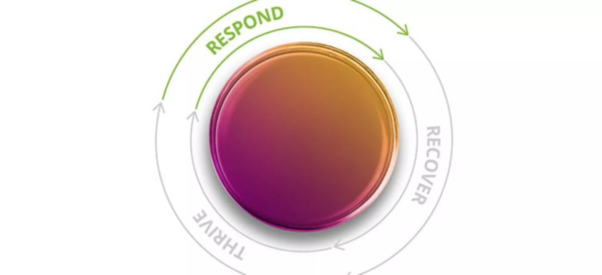 Implement cash conservation and recovery actions | Deloitte Global