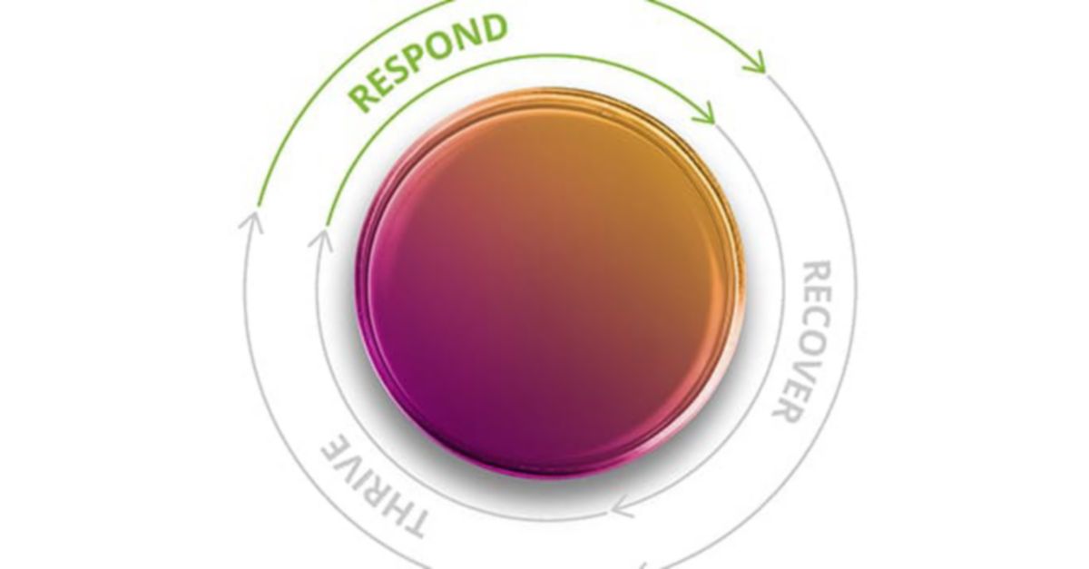 Implement cash conservation and recovery actions | Deloitte Global