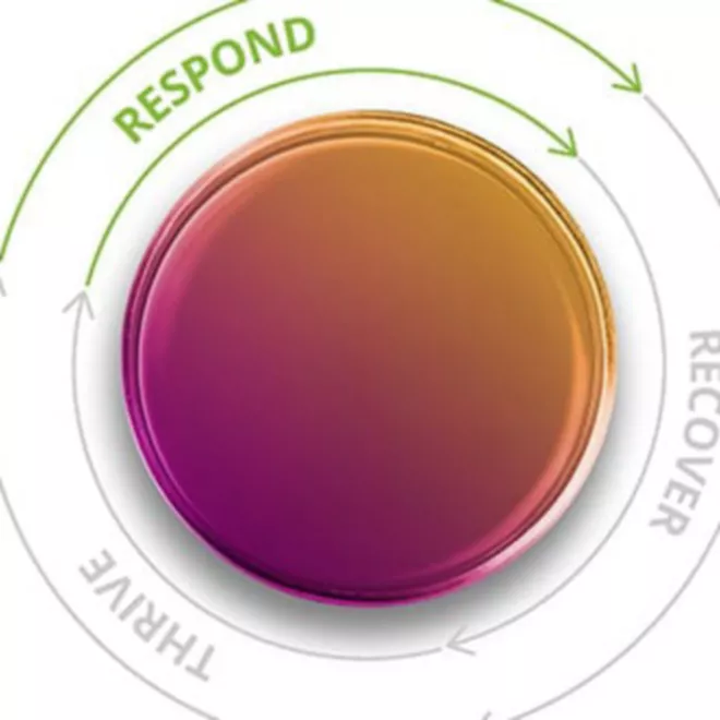 Manage rapid employee return and ramp-up (future state) | Deloitte Global