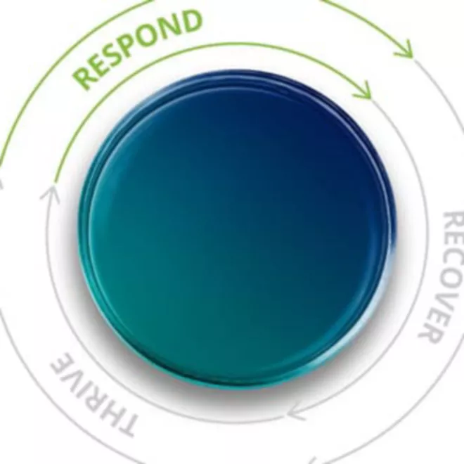 Global Compliance and Reporting | Deloitte UK