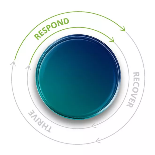 Develop real-time sensing / red flag reporting dashboard | Deloitte Global
