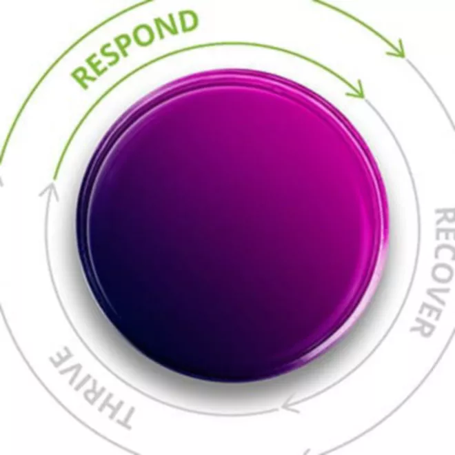 Workforce strategies for post COVID-19 recovery | Deloitte Global