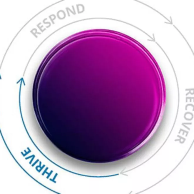 Develop real-time sensing / red flag reporting dashboard | Deloitte Global