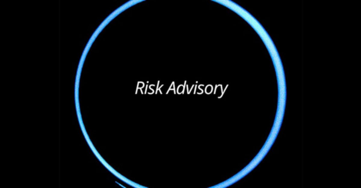 Risk Advisory Deloitte Private