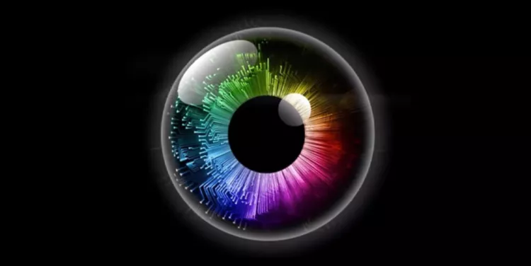 Global Digital Risk Survey 2022 | See the Unseen