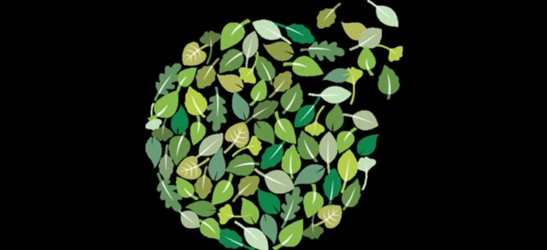 ESG in Technology, Media & Telecommunications: Driving value through ...