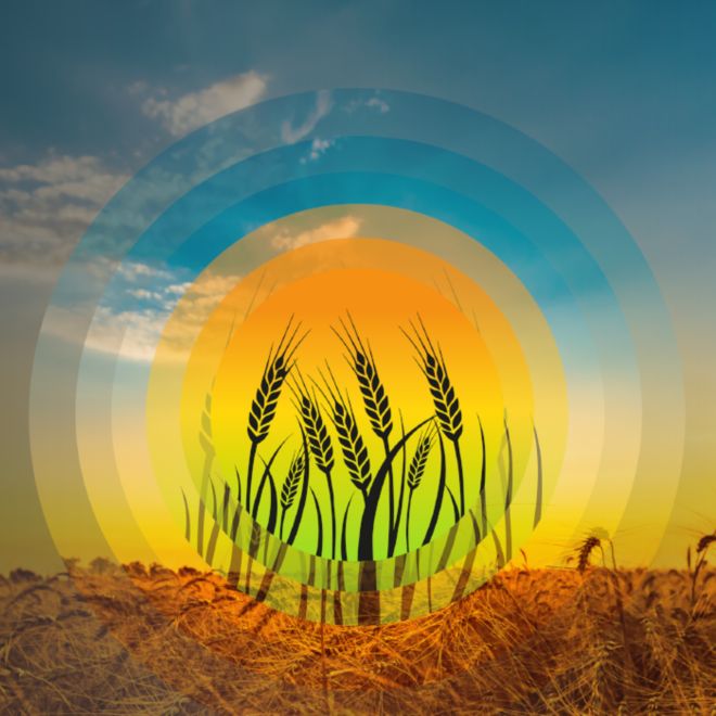 2024 Consumer Products Industry Outlook | Deloitte Global