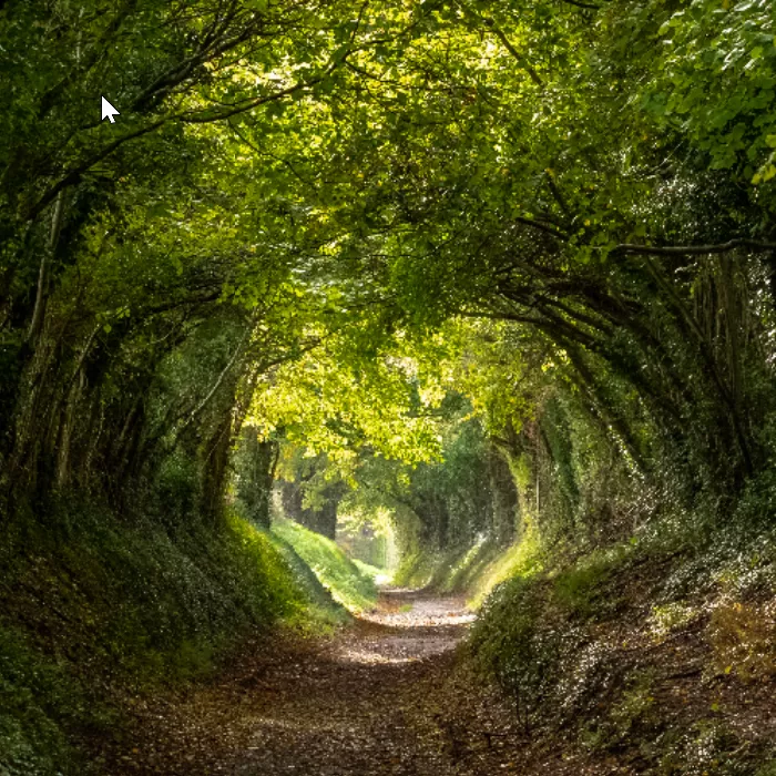 Deloitte and Workday Alliance | How the University of Virginia ...