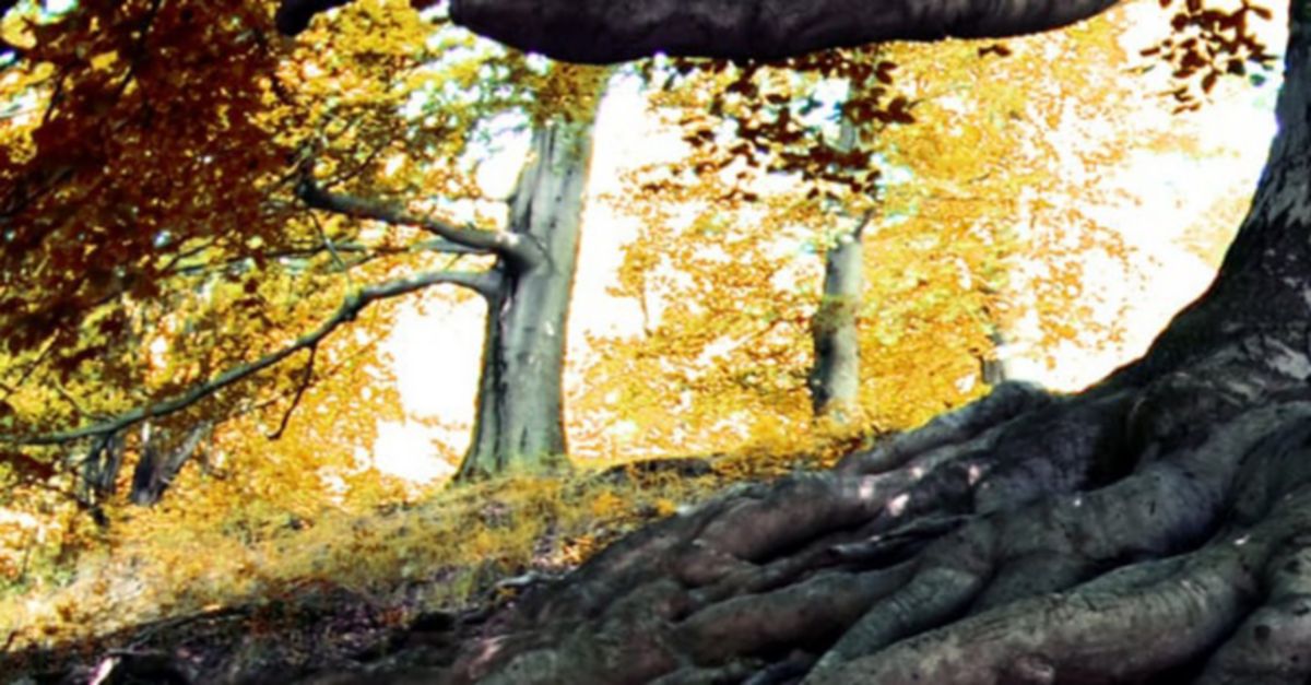 Report an ethics concern | Deloitte | Ethics contacts