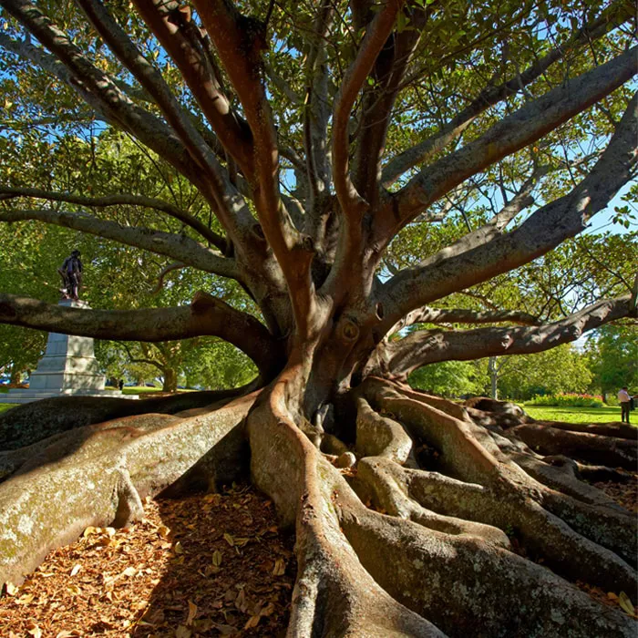 Global Principles of Business Conduct | Deloitte | Ethics