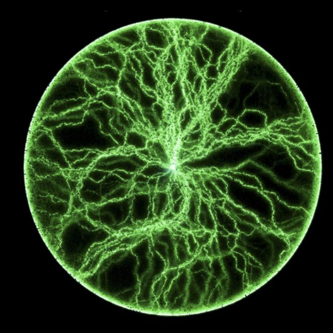 Making AI transparent, fair and trustworthy | Deloitte | Blog