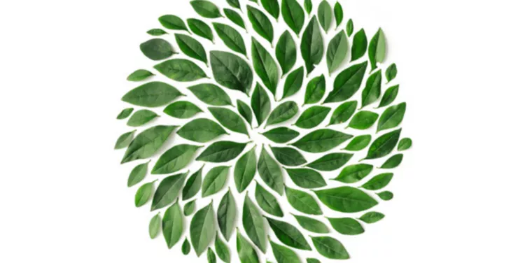 Gi3 Sustainability | Deloitte Ireland