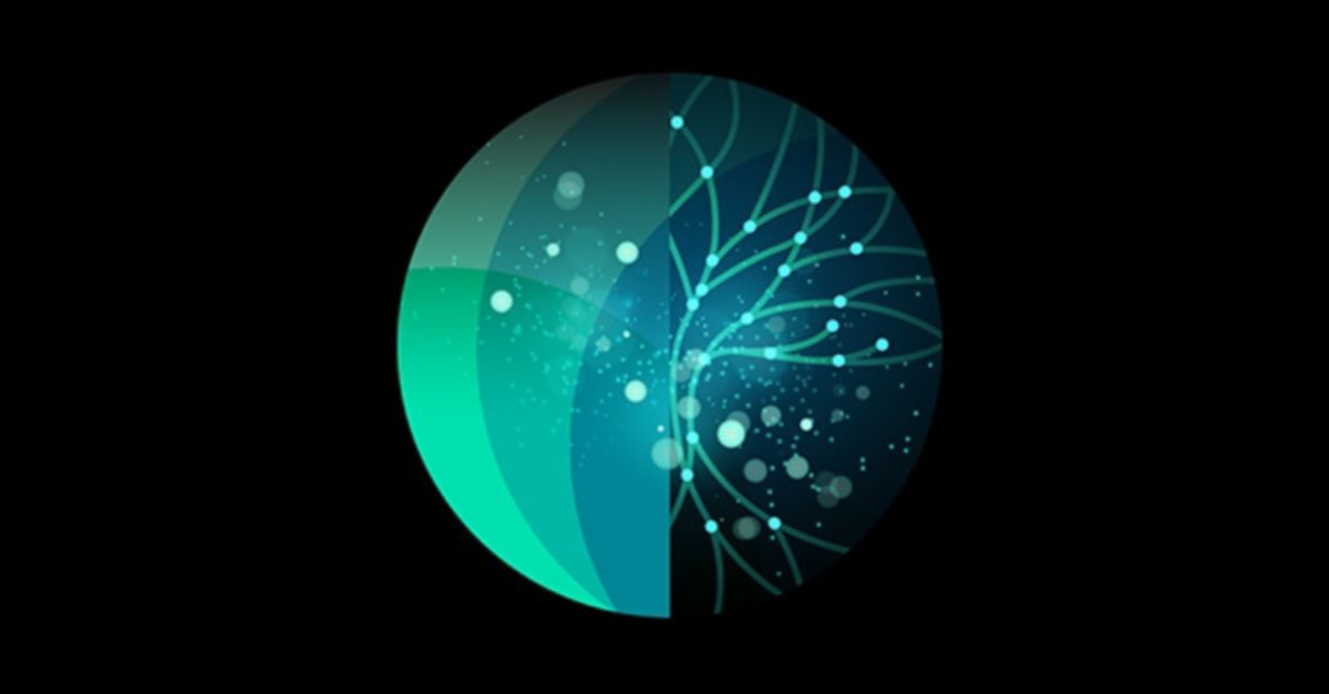 Covid-19: Successful management of economic recovery programs