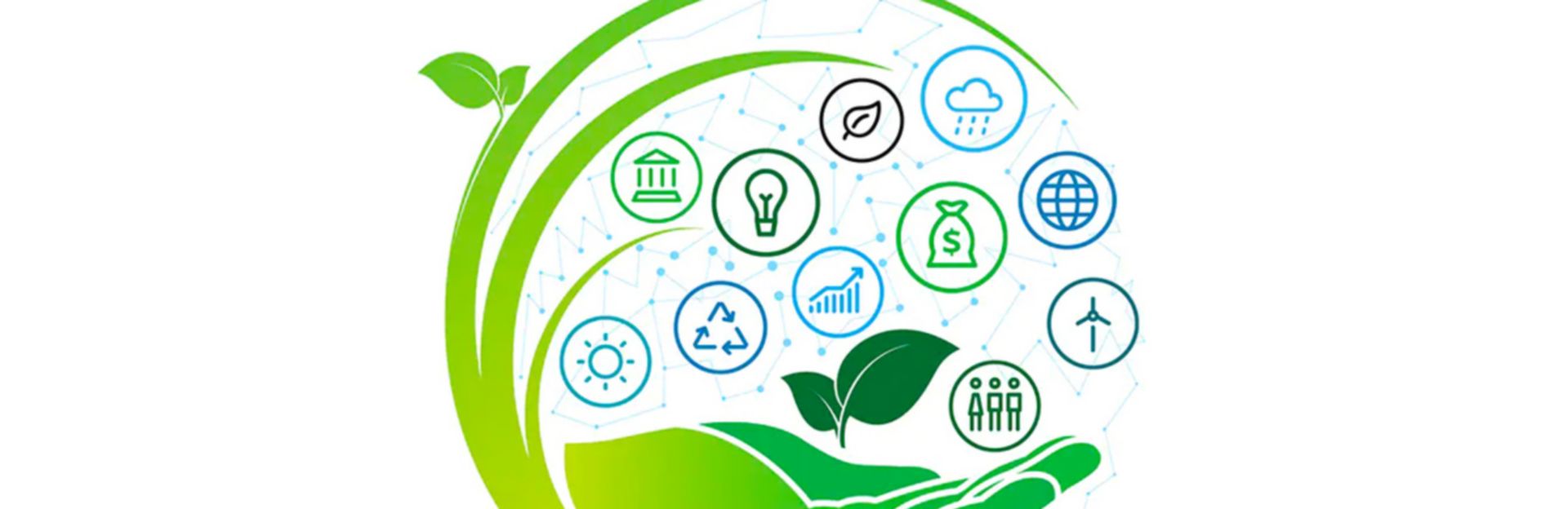 The Future of the Chief Sustainability Officer