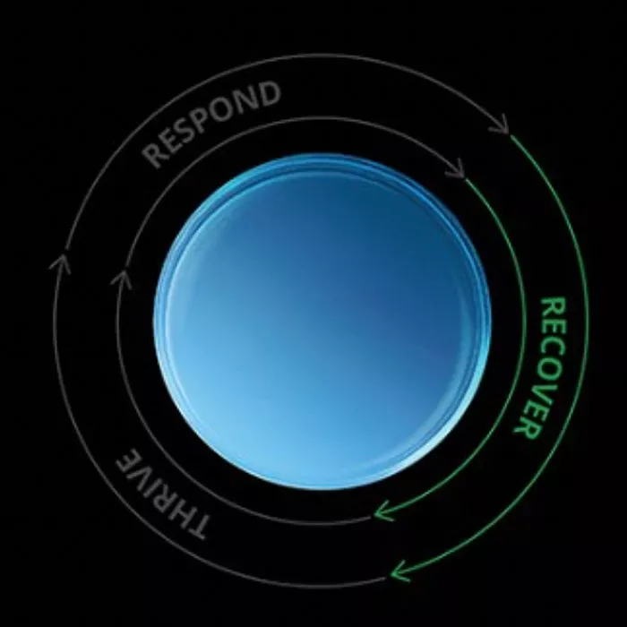 Organisation Transformation | Deloitte