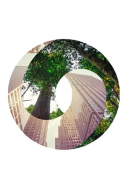 A spotlight on emerging approaches to bank transition planning ...