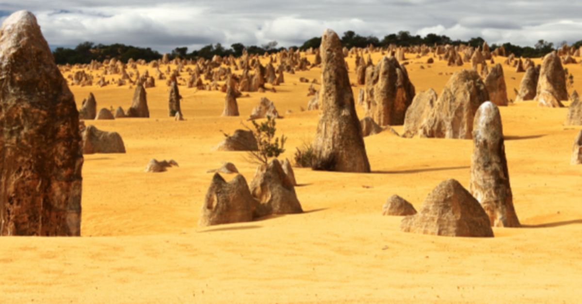 Embedding Indigenous Knowledge in the Conservation and Restoration of ...