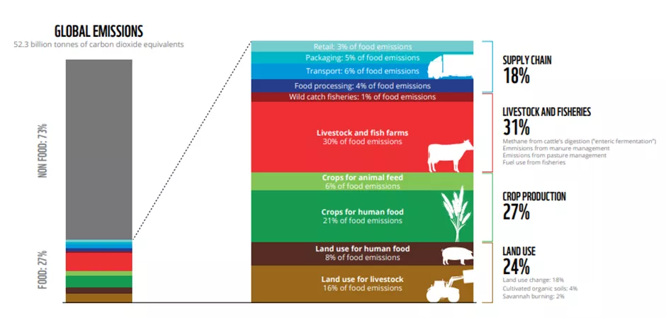 Decarbonising the food system: Time is running out! | Deloitte Africa